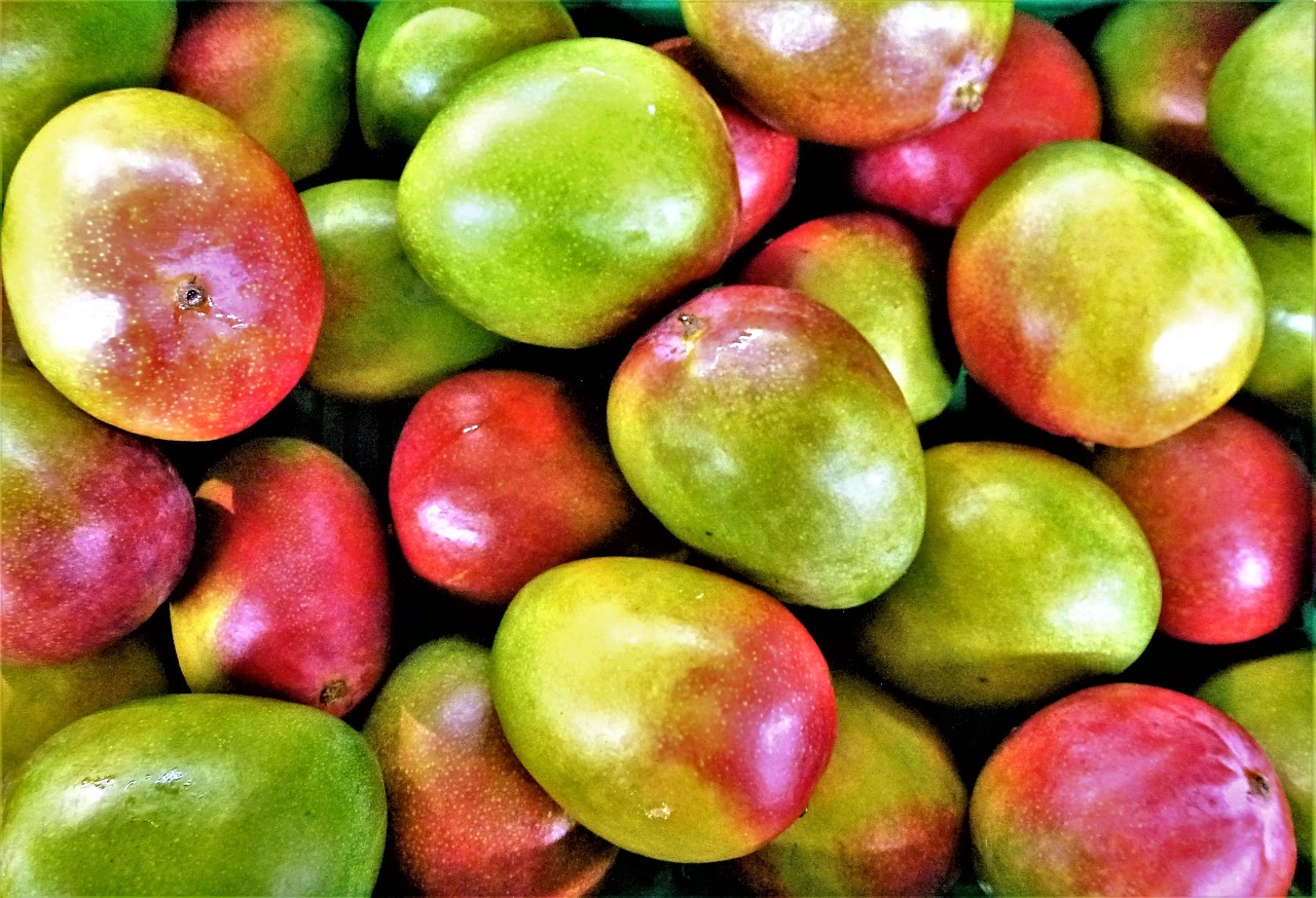 Discover Belize's Best Fruits - A Tropical Gastronomy Guide