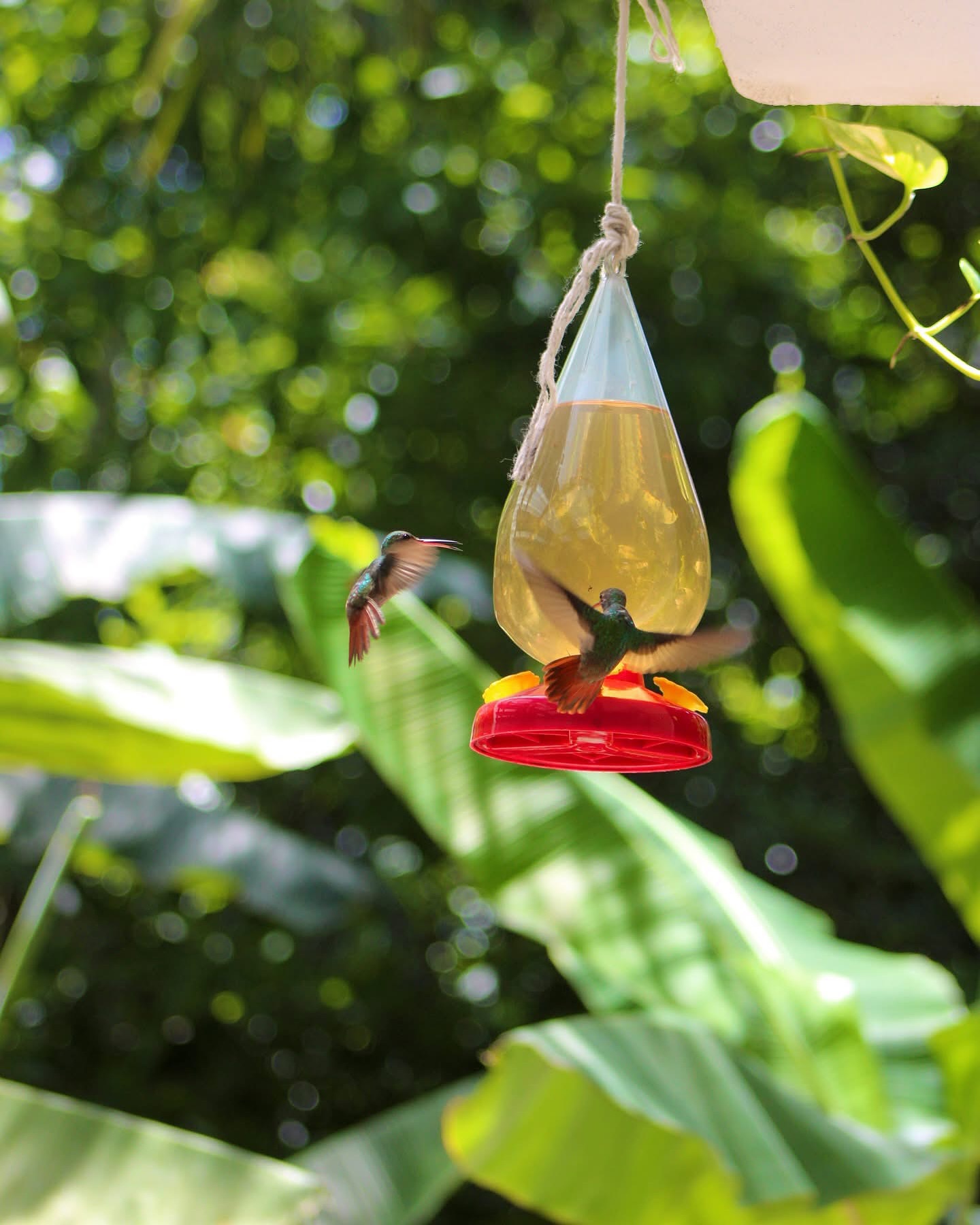 Rainy Season in Belize: Why You Might Actually Love It
